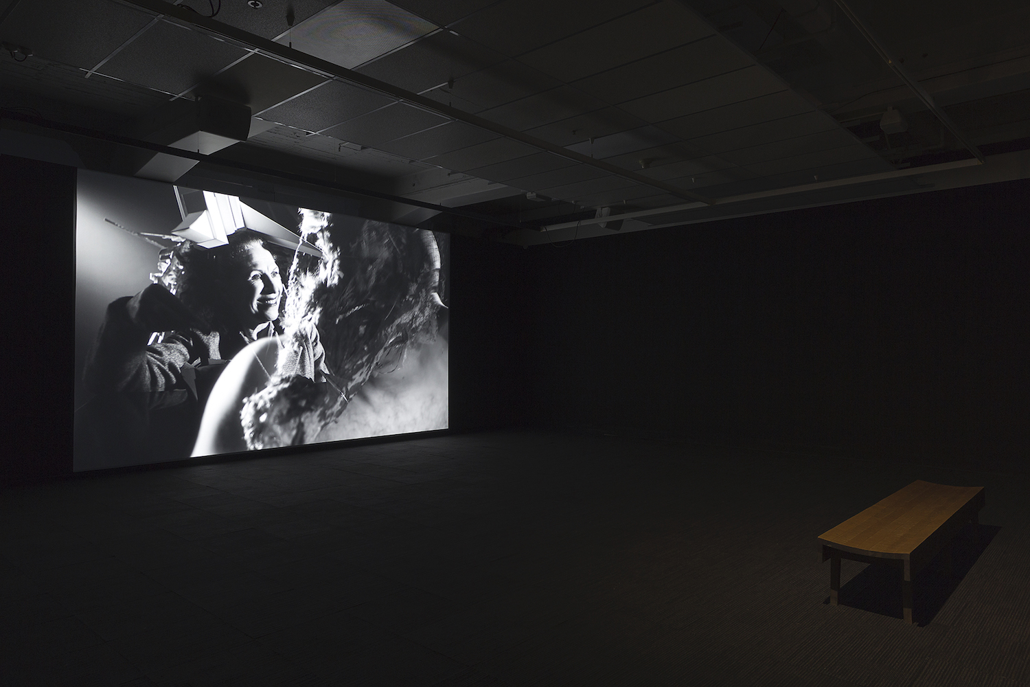 Demented Architecture – AARON LISTER