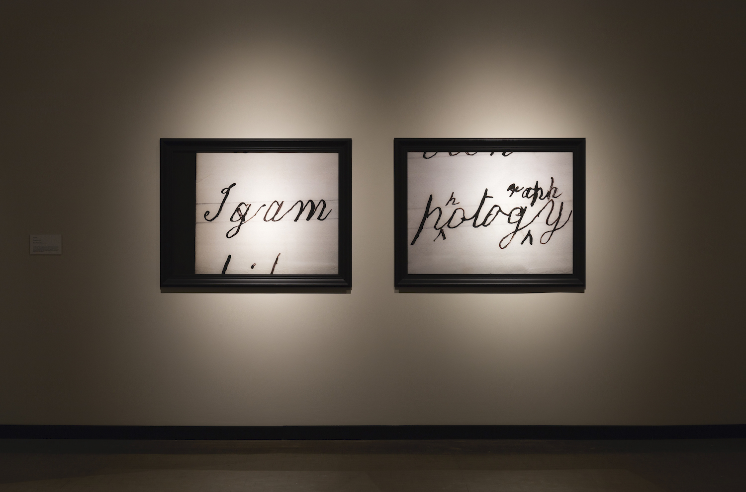Fiona Pardington: A Beautiful Hesitation – AARON LISTER